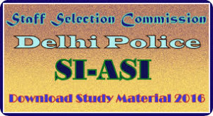 Delhi Police SI Previous Year Exam Question Papers Answers PDF