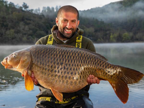 Ali Hamidi's Wife: Facts About Emma Hamidi And Net Worth In 2022