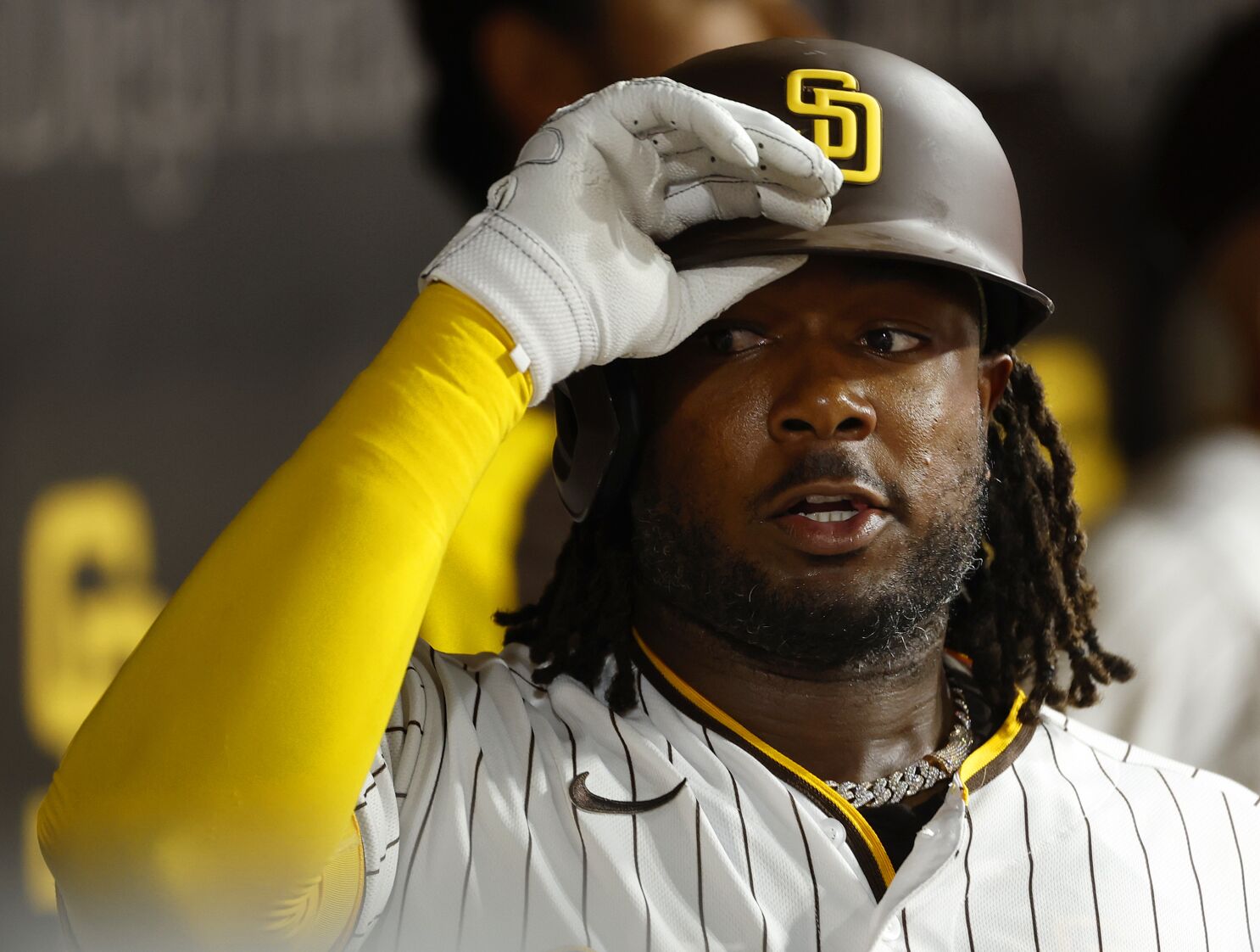 Arlia Duarte (Padres Josh Bell Wife) Is A Law Student From Ohio