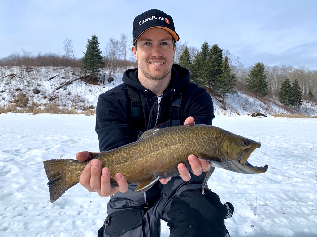 Who Is Hockey Player Stephan Vigier? Meet Kaitlyn Lawes Partner From ...