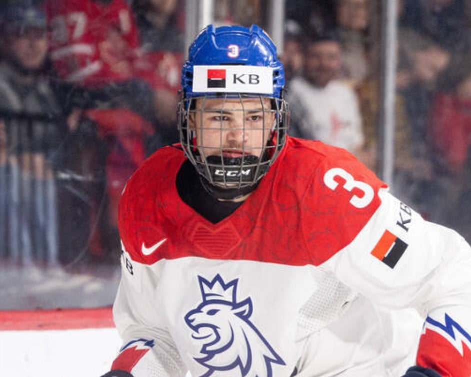 Who Is David Spacek (Jaroslav Spacek Son)? Parents And Family Details ...