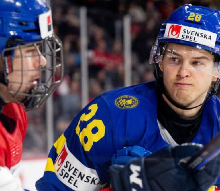 Who Is David Spacek (Jaroslav Spacek Son)? Parents And Family Details ...