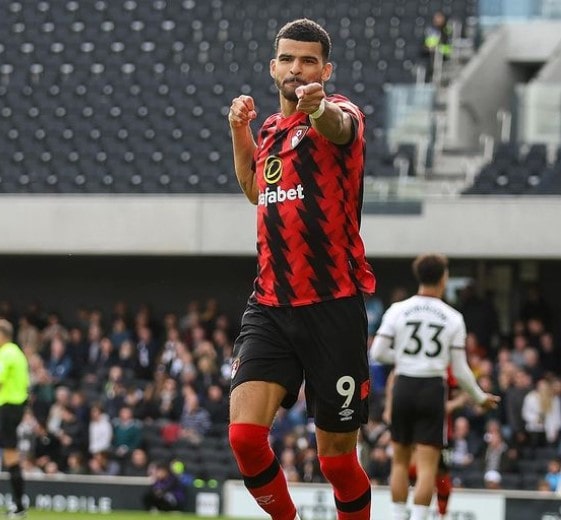 Dominic Solanke Engagement With Girlfriend Erica Raimondi, Their ...