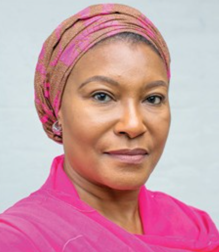 Ireti Kingibe (Baba Gana Kingibe): Bio, Wiki, Age, Children, Husband ...