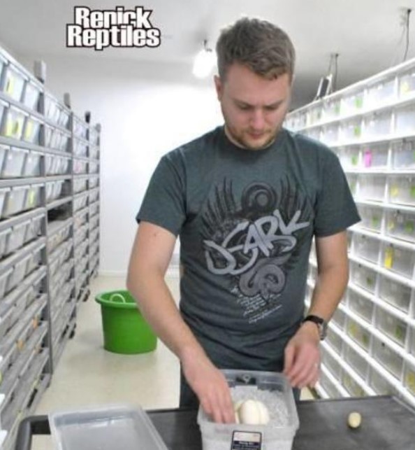 Ben Renick: Snake Breeder's Death Explained, Bio, Wiki, Age, Career ...