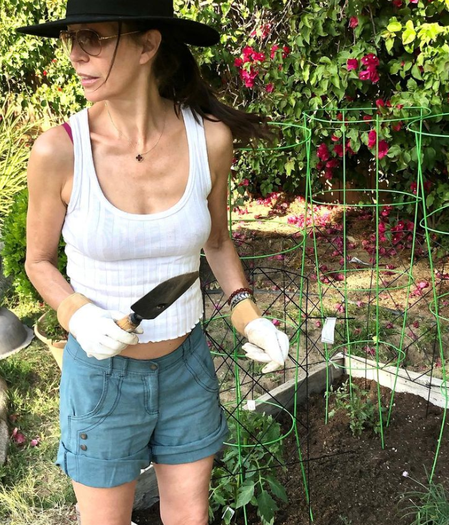Finola Hughes: Plastic Surgery, Gardening, Bio, Wiki, Age, Career ...