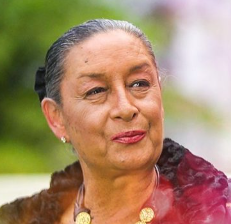 Georgina Beyer: Death of First Transgender MP, Transgender Activist ...