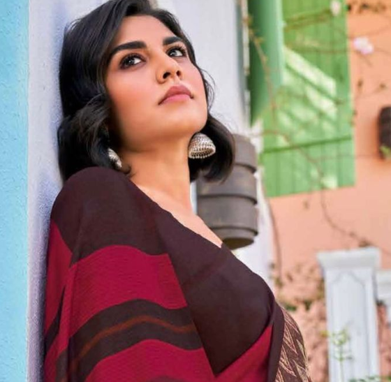 Meenal Sahu Bio, Career, Age, Height, Relationship, Affairs, Net Worth ...