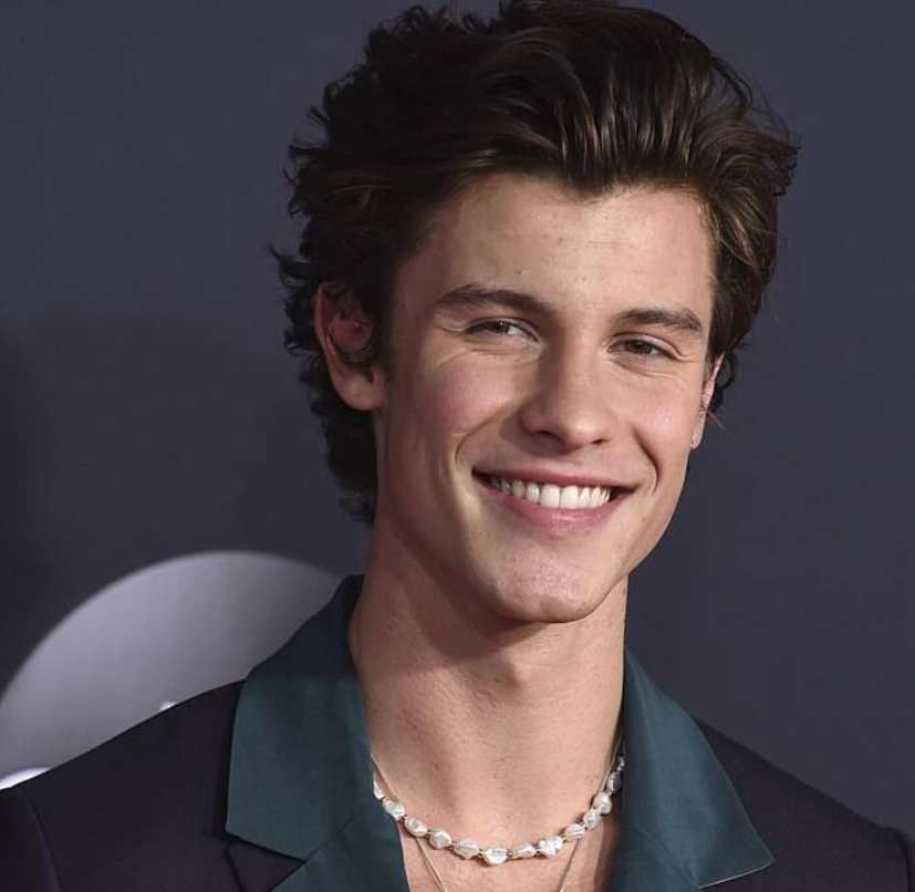 Shawn Mendes: Is He Gay or Not? Girlfriend, Sexuality, Bio, Wiki ...