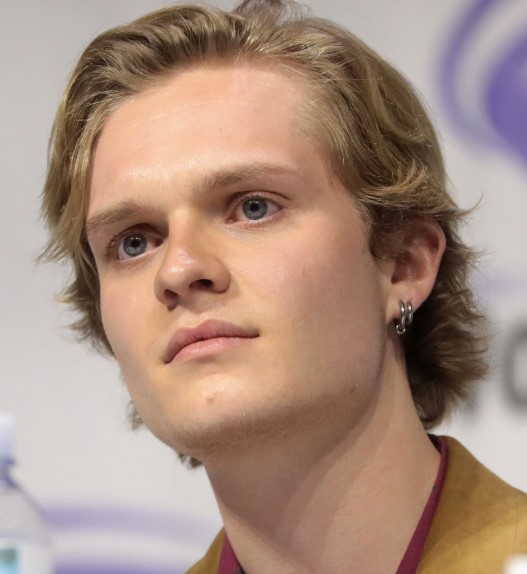 Tom Glynn-Carney: Bio, Wiki, Age, Career, Role in Dunkirk, Net Worth ...