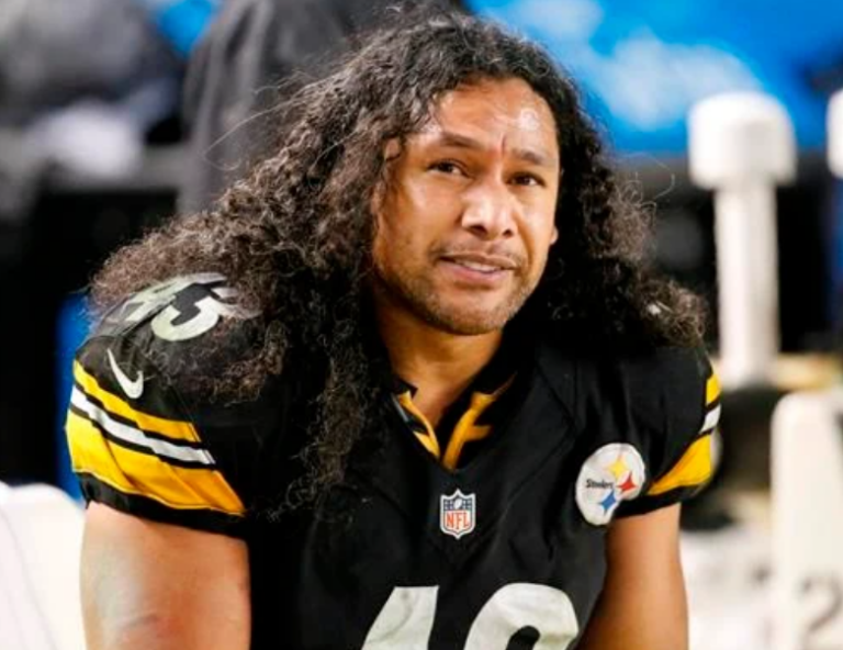 Troy Polamalu's wife, Theodora Holmes - A Closer Look at Her Age ...