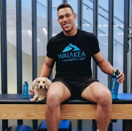 Aaron Judge: Where does he Live? Properties, Bio, Wiki, Age, Career ...