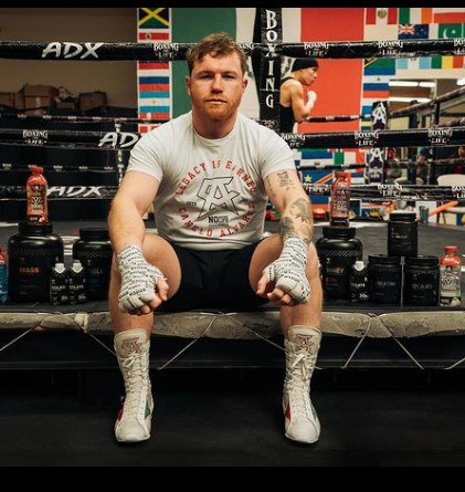 Canelo Alvarez and Ryan Garcia: What Happened Between Them? Career, Bio ...