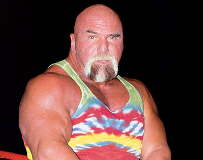 How Many Children Does Wrestler Billy Graham Have? Meet His Daughter ...