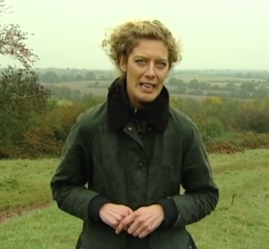 Who Is Emily Morgan Husband? IPTV Reporter Married Life and Family Tree ...