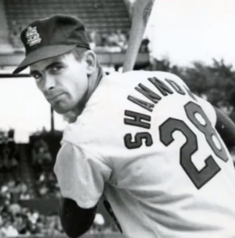 Mike Shannon: Health Issues, Death Cause, Bio, Wiki, Career, Family and ...