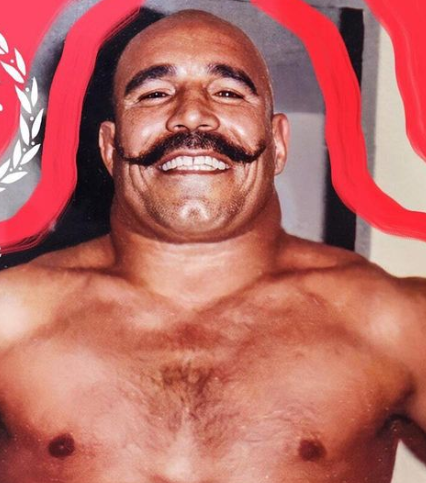 Iron Sheik (Wrestler) Obituary, Death Cause, Career, Bio & More