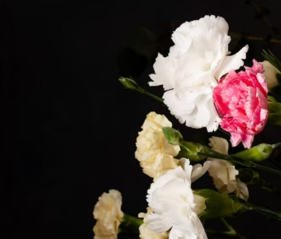 OBITUARY: Anthony Cipullo Death Cause & Family Tree Details