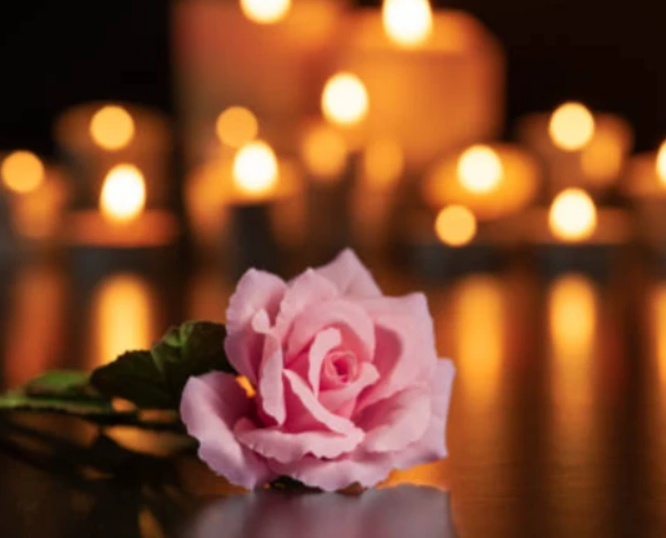 OBITUARY: Anthony Cipullo Death Cause & Family Tree Details
