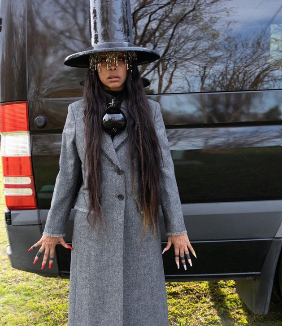 What Happened to Erykah Badu Face? Plastic Surgery Rumors and ...