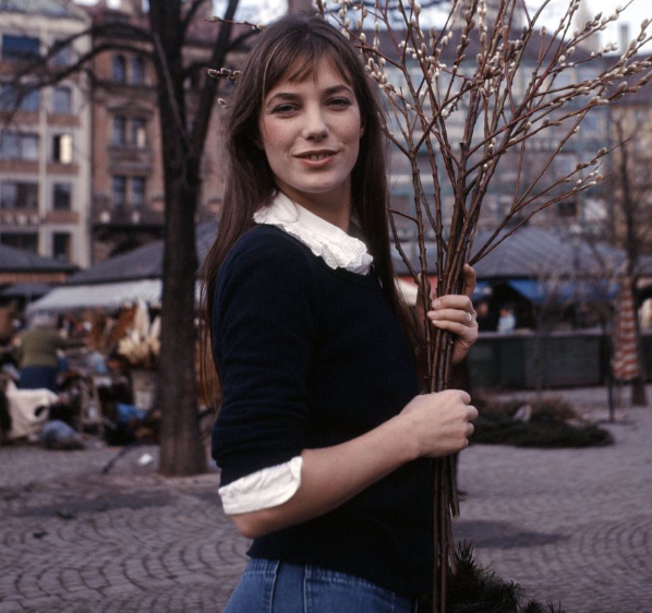 Who Is Jane Birkin Siblings? Meet Sister Linda Mary Birkin And Brother ...