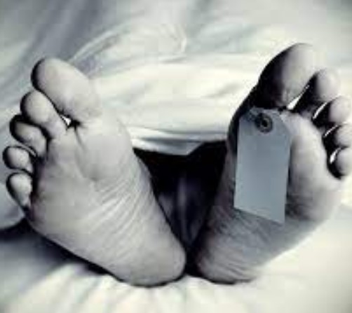 Lucas Cardillo (Obituary): Wiki, Bio, Age, Career, Family And More