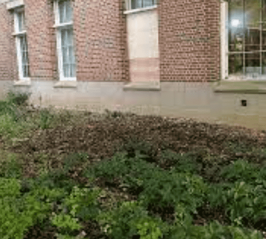 Zijie Yan (Obituary): Explored Wife, Daughter, Family And More About ...