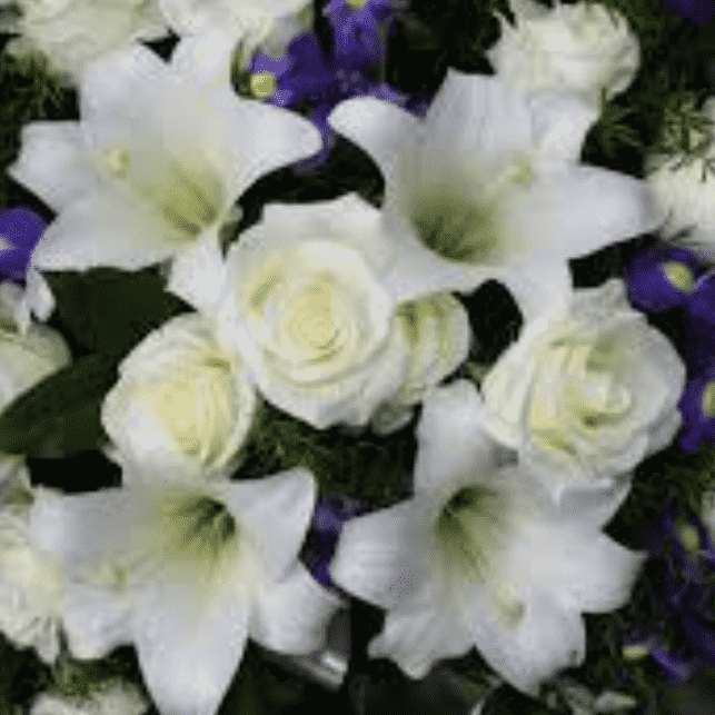 Zijie Yan (Obituary): Explored Wife, Daughter, Family And More About ...