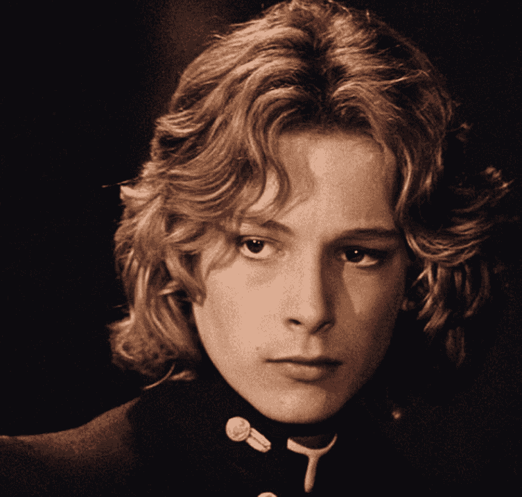 The Bjorn Andresen Enigma: Separating Fact from Fiction in the Death ...