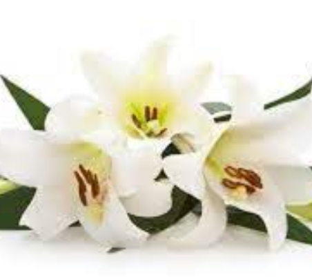 How Did Chris Rushing Die? Explored Obituary, Death Cause, Family And More