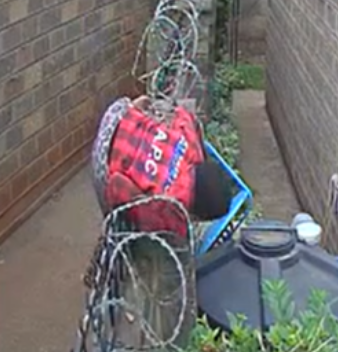 Who Was Eric Maigo's Wife? Married Life, Family, Ethnicity, Death and More