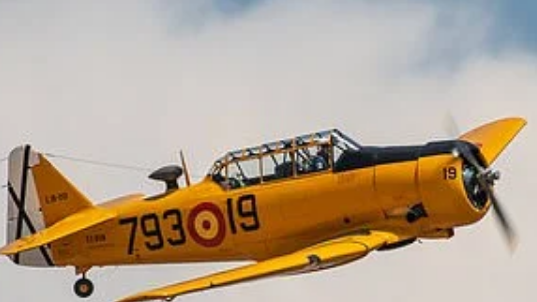 Nick Macy And Chris Rushing Obituary And Death Linked To Plane Crash