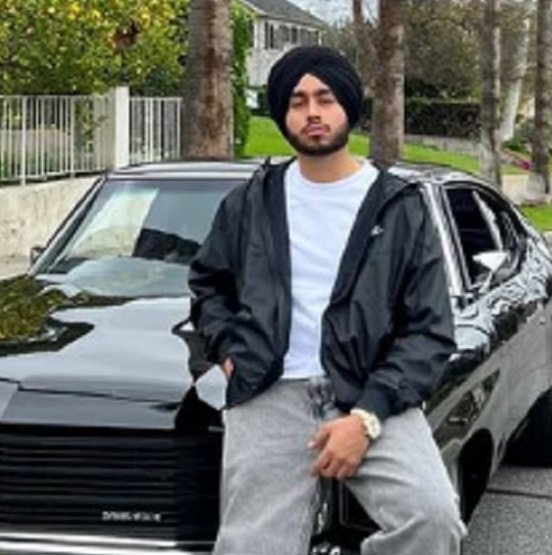 Unveiling the Shubhneet Singh Controversy: Instagram Story Scandal Explored