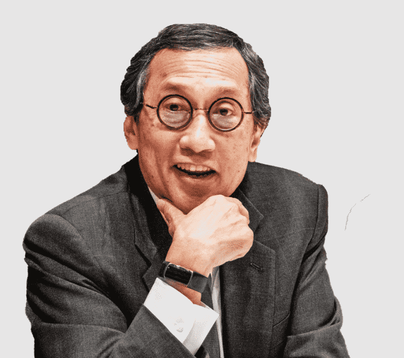 Who Is Lim Eng Neo, Bilahari Kausikan Wife? Married Life And Childrens ...