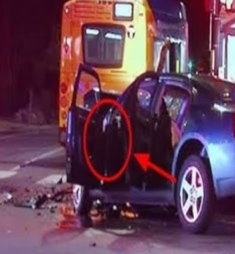 Musician Chris Bradley Wife Gabrielle: Their Children and Family Explored