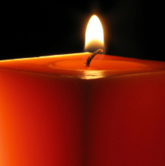 How Many Children Does Eli Weaver Have? Kids And Family Explored