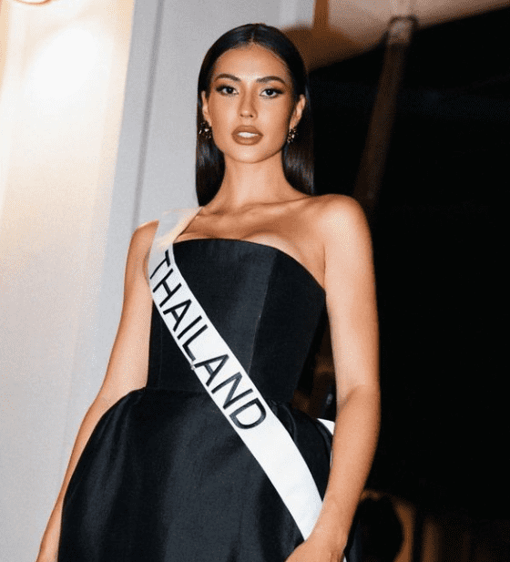 Is Anntonia Porsild Dating Irfan Fandi? Relationship History - Who Is Her Boyfriend?