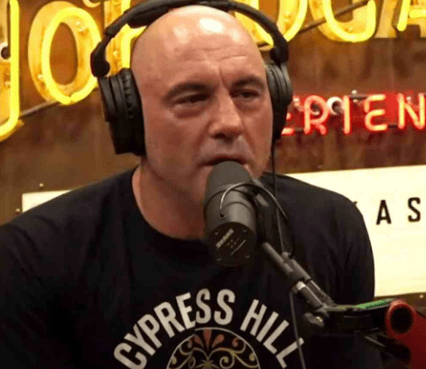 Joe Rogan's Roots: The Fascinating Journey of Ethnicity, Race, Origin ...