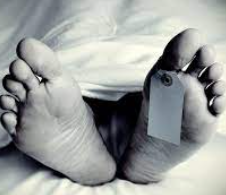 Legacy of Kenneth D. Pinyan (“Mr. Hands”): Death and Documentary