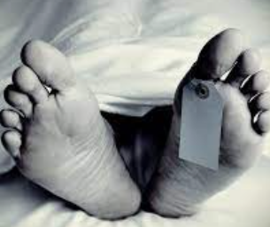 Lloyd Wilkinson (Obituary): Death Cause, Family Mourns, Career And More