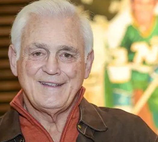 Exploring Lou Nanne's: Hockey Career, Wife, Age, Net Worth, Ethnicity ...