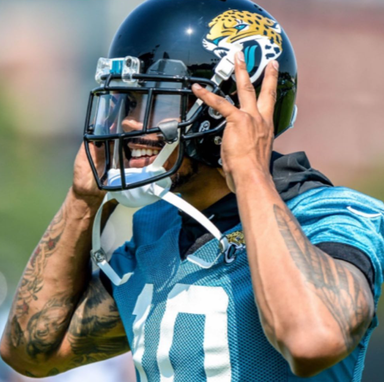 Are Evan Pryor and Terrelle Pryor Brothers? Terrelle Pryor Football ...