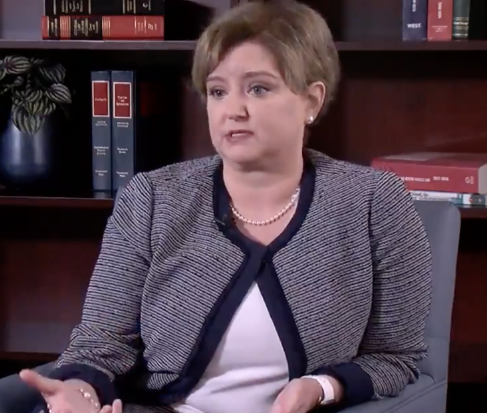 Allister Adel and David DeNitto's Parenting Chronicles Unveiled