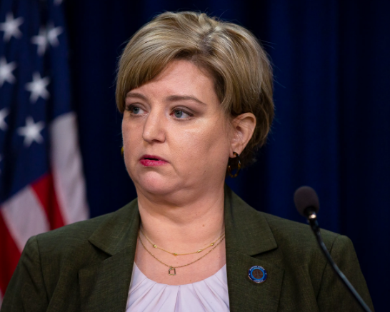 Allister Adel and David DeNitto's Parenting Chronicles Unveiled