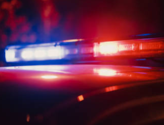 Child Cage Case On UF Scientists Dustin Huff And Yurui Xie: Arrest ...