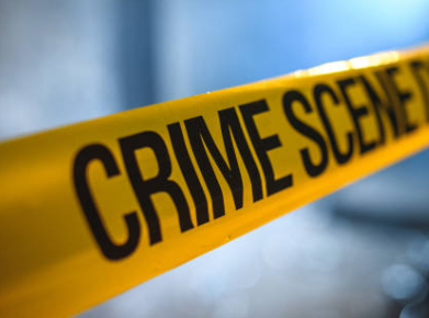 Child Cage Case On UF Scientists Dustin Huff And Yurui Xie: Arrest ...