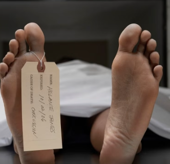 David Bookbinder (Obituary): Who Was He? Age, Bio/Wiki, Family And More ...