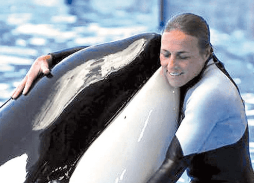 Tilikum's Shocking Encounter with Dawn Brancheau Caught on Camera