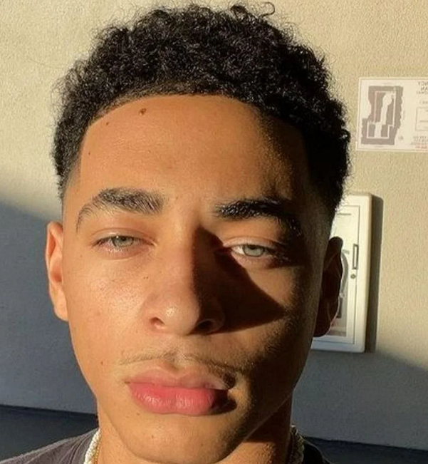 Who Is Julez Smith? Solange Knowles Son's Leaked Viral Video, Scandal ...