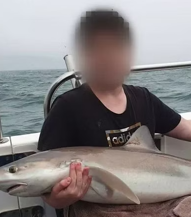 Arion Kurtaj (GTA 6 Hacker): Controversy, Illness and Health in 2023 ...